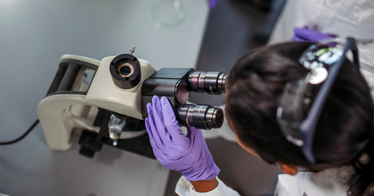 Northwestern Scientists and Biomedical Engineering Students Contribute ...