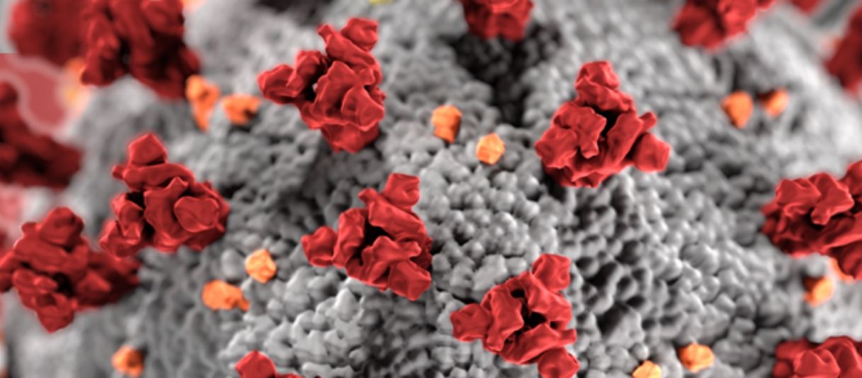 Biomedical Engineering | Northwestern Engineering