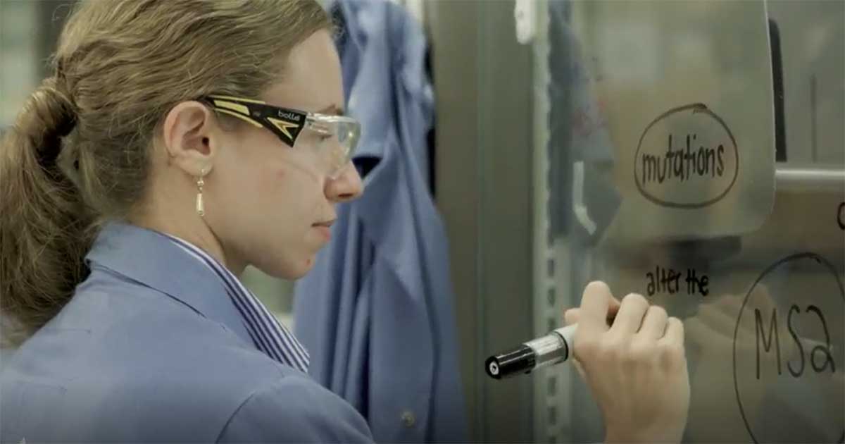 New Video Highlights Transformational Power of MBP | Inside Our Program | Master of Science in ...