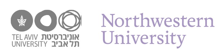 Faculty Opportunities | Global Initiatives | Northwestern Engineering