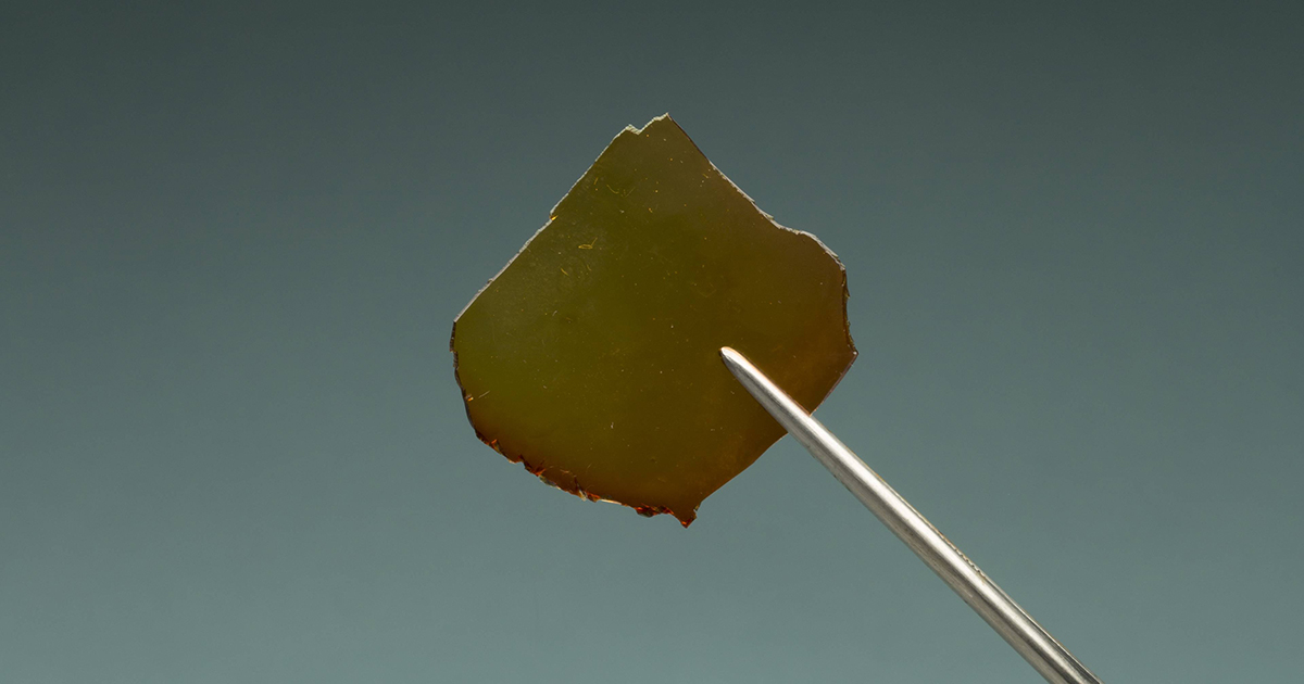 Is Regenerative Engineering the Future of Tissue, Organ Repair? | News ...