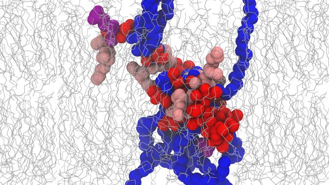 Materials Science & Engineering | Northwestern Engineering