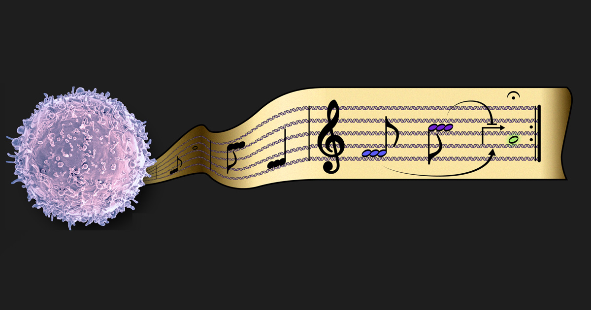 New Platform for Composing Genetic Programs in Mammalian Cells | News ...