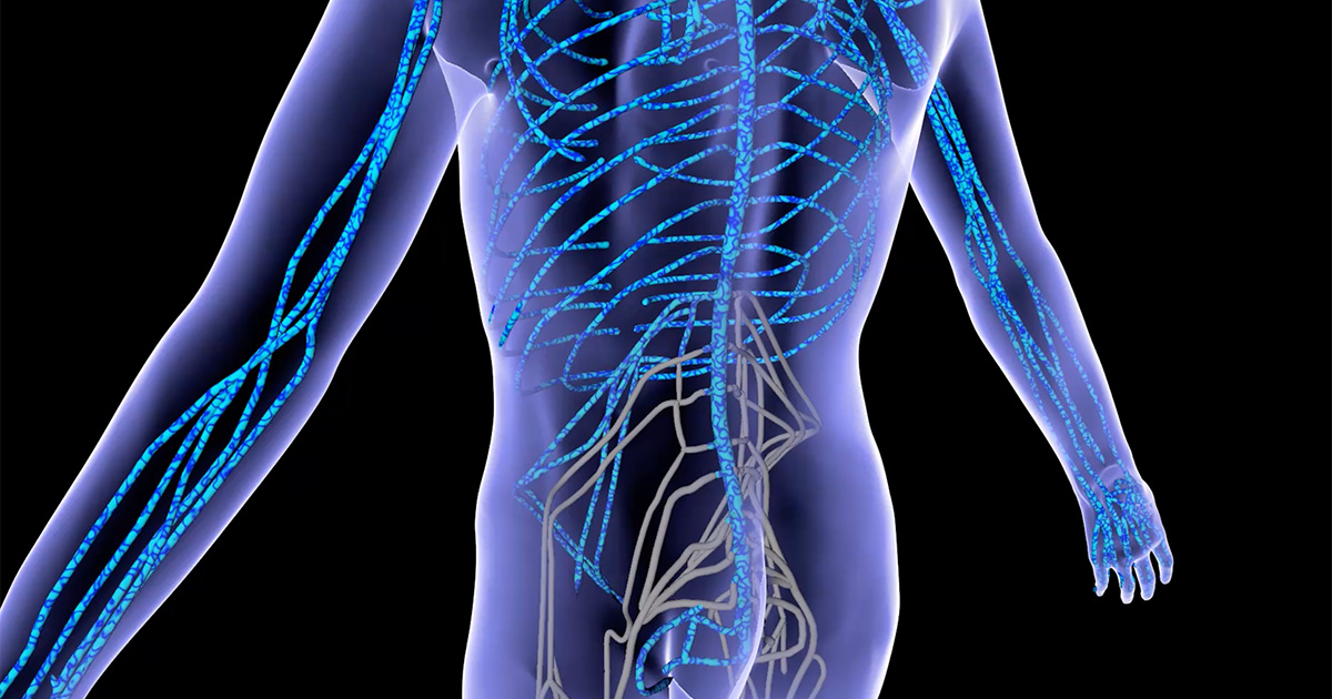 ‘Dancing Molecules’ Successfully Repair Severe Spinal Cord Injuries ...