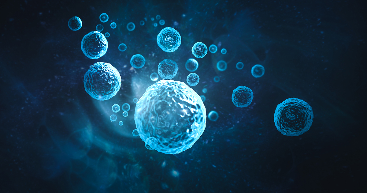 Leveraging AI to Work with Cells | News | Northwestern Engineering