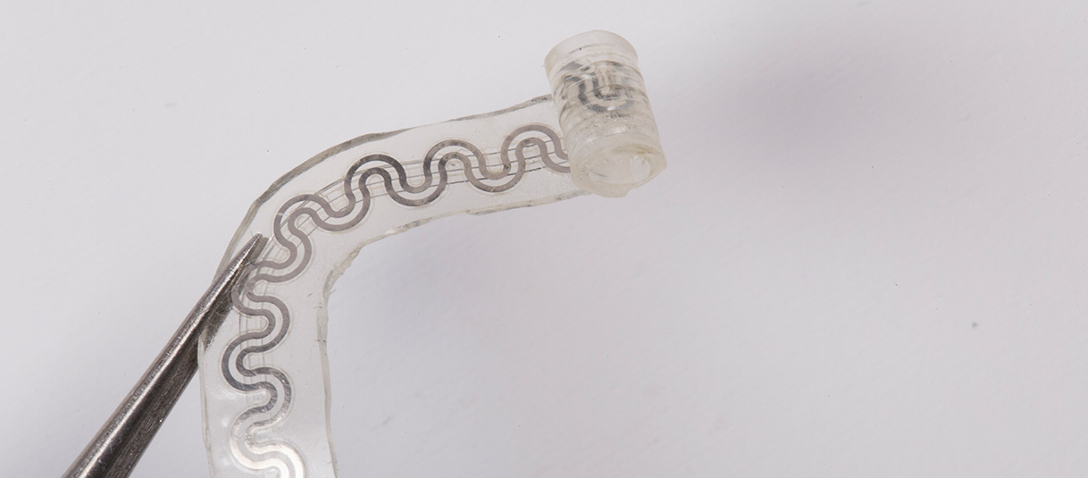 Biomedical Engineering | Northwestern Engineering