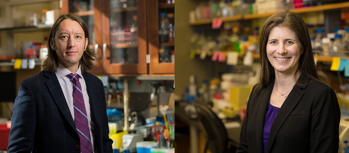 Northwestern's McCormick School of Engineering