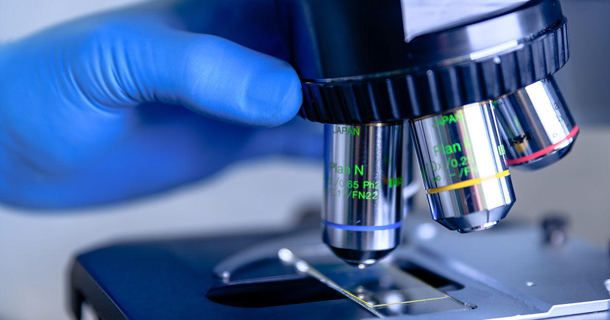 Multi-University Team Building Actuators for Next-Gen Bio-Bots | News ...