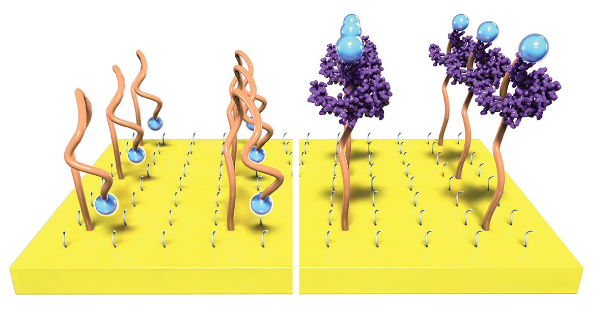 Plastic Transistor Amplifies Biochemical Sensing Signal | News ...
