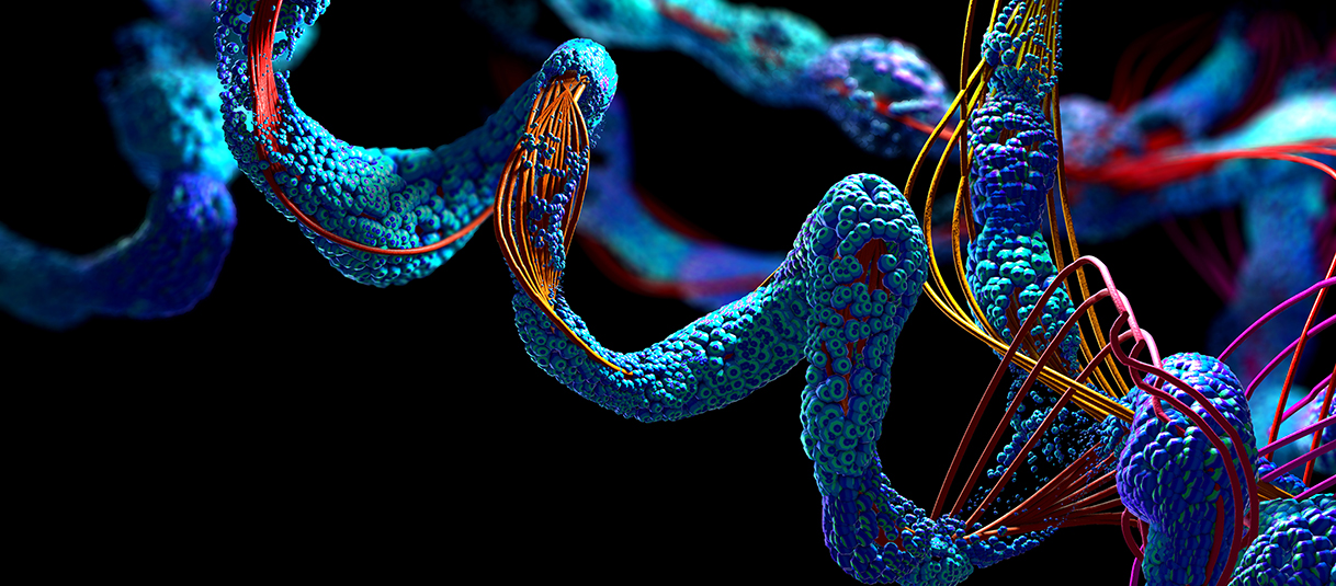 Biomedical Engineering | Northwestern Engineering