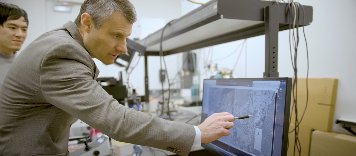 Biomedical Engineering | Northwestern Engineering