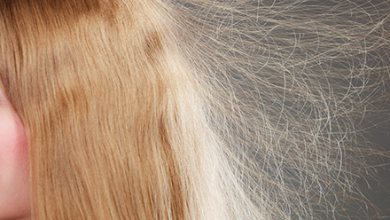 Watching RNA Fold | News | Northwestern Engineering