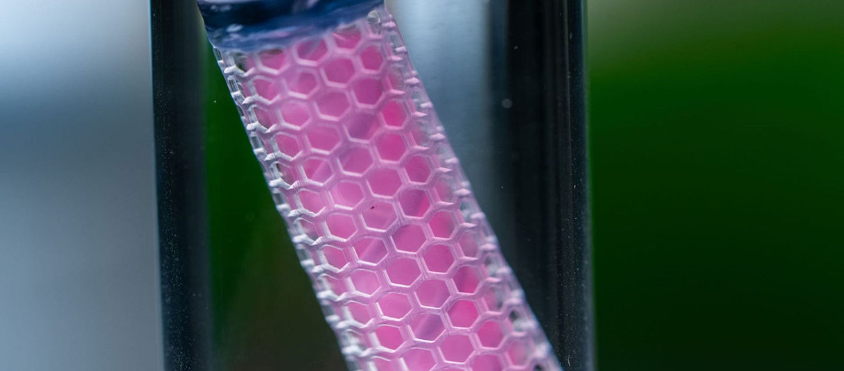 Biomedical Engineering | Northwestern Engineering