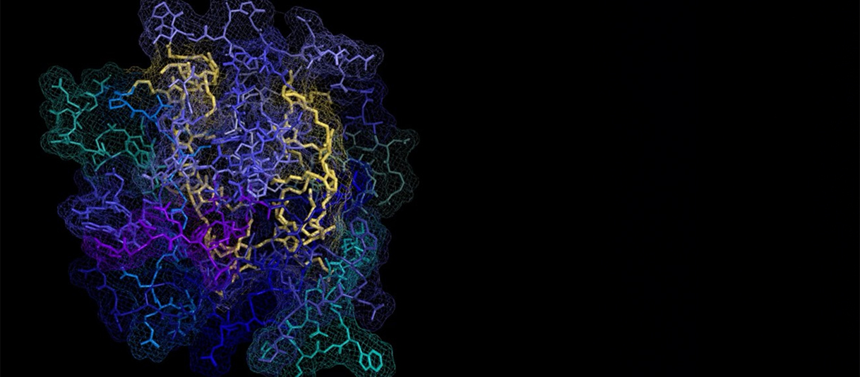 Biomedical Engineering | Northwestern Engineering