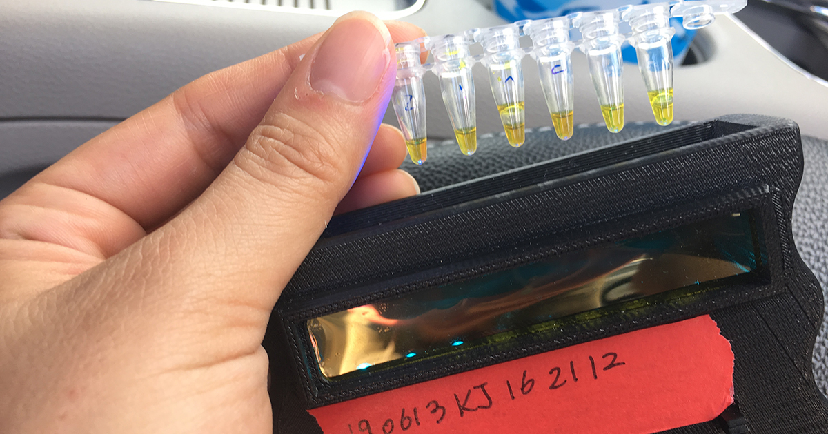 A ‘Volume Dial’ for Missed Signals Produced by Our Bodies | News ...