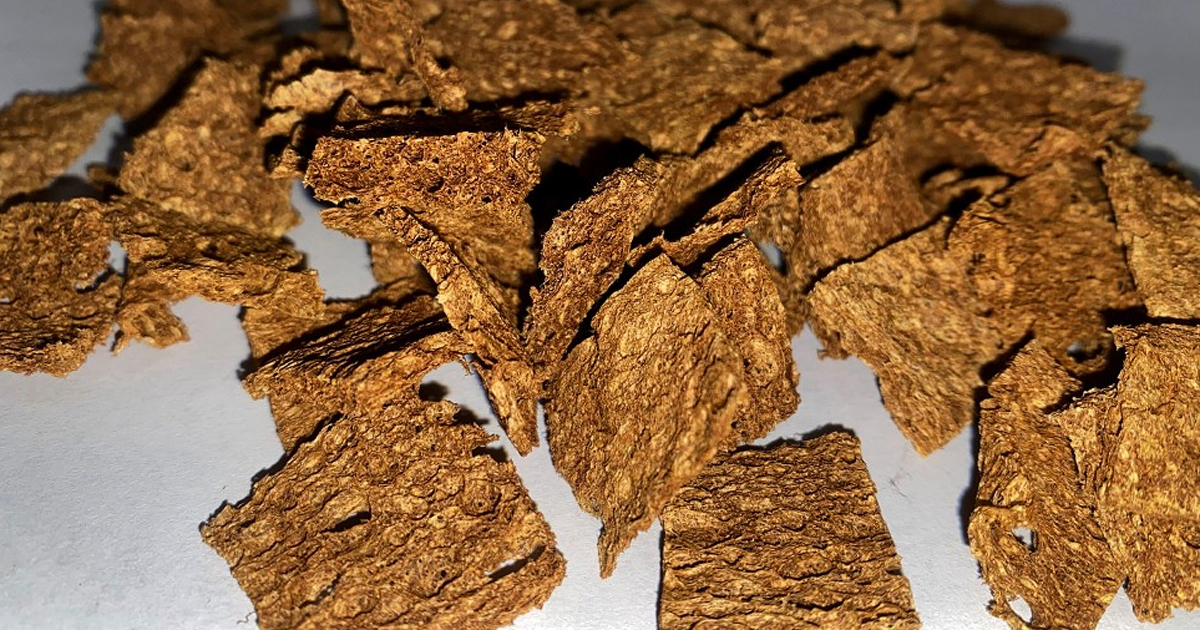 Stormwater Pollution Sucked Up by Specialized Sponge | News ...