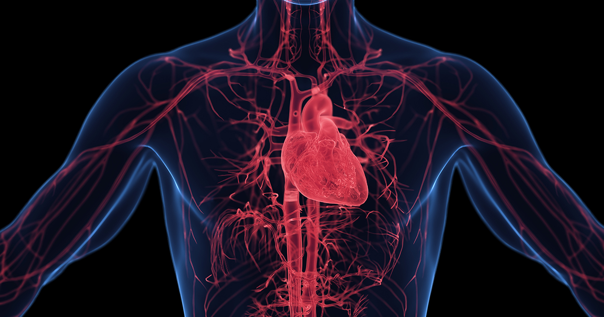 Wireless Device Tracks Heart Function in Real Time | News ...