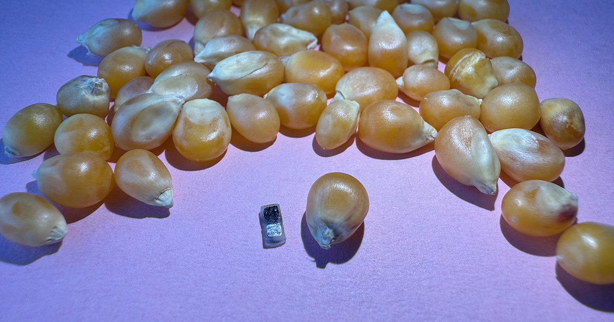 World’s Smallest Pacemaker Is Activated by Light | News | Northwestern ...