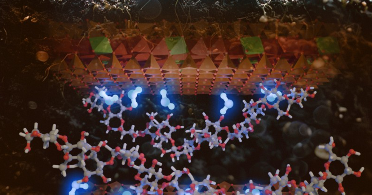 How Organic Matter Traps Water in Soil — Even in the Driest Conditions ...