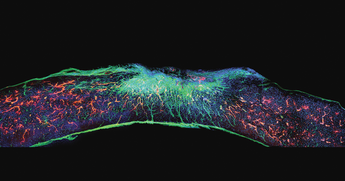 Big Idea | Magazine | Northwestern Engineering