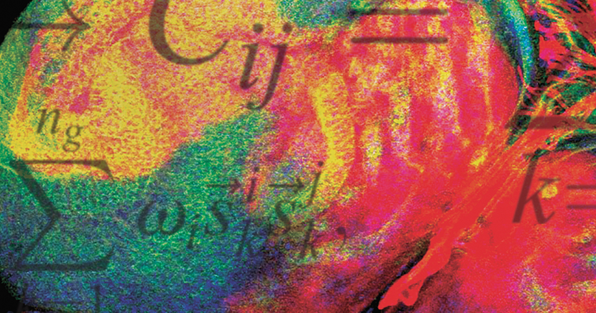 Applying Math to Answer Life's Fundamental Questions | Magazine ...