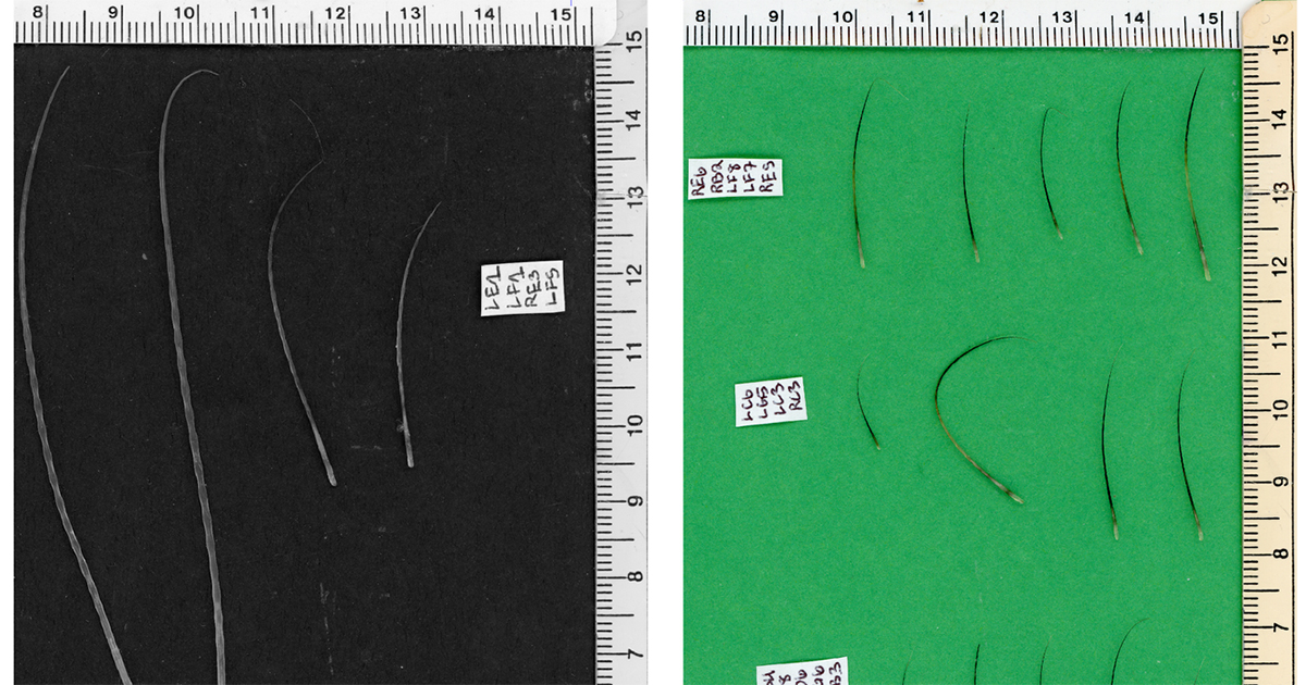 Computer Vision and SLAM with Novel Whisker Sensors | Inside Our ...